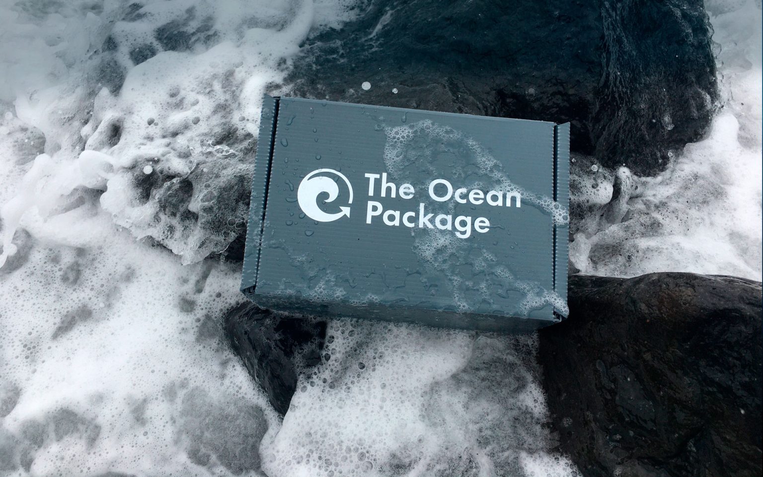 Ocean Plastic - The Ocean Package